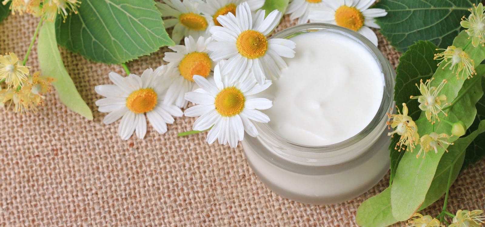 Steps to certified organic | Organic Food Chain